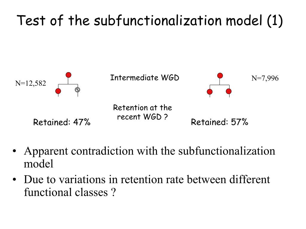 PPT - The impact of whole genome duplications: insights from Paramecium ...