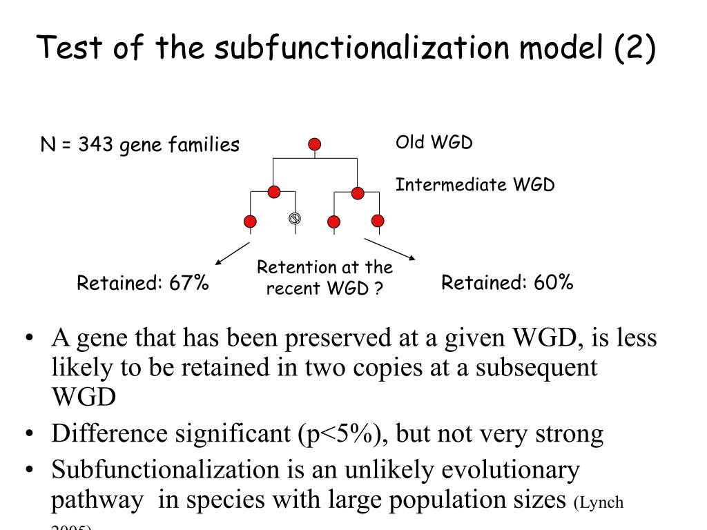 PPT - The impact of whole genome duplications: insights from Paramecium ...