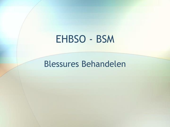 PPT - EHBSO - BSM PowerPoint Presentation, free download - ID:3264425