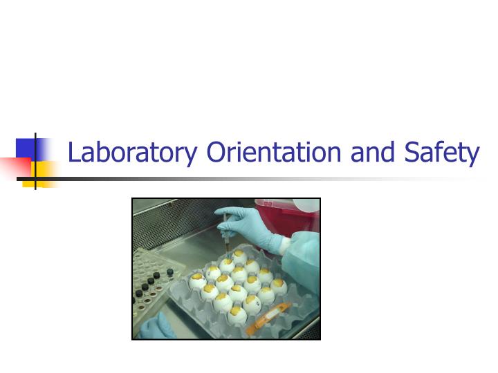 PPT - Laboratory Orientation and Safety PowerPoint Presentation, free ...
