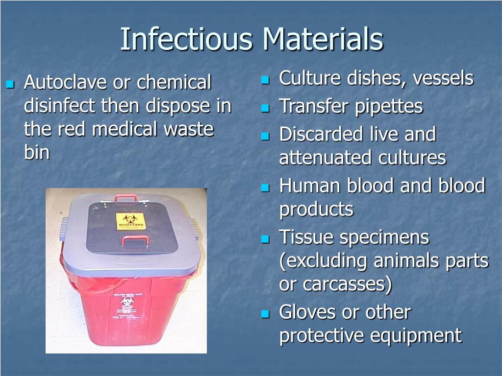 PPT - Albert Einstein College of Medicine Environmental Health and ...