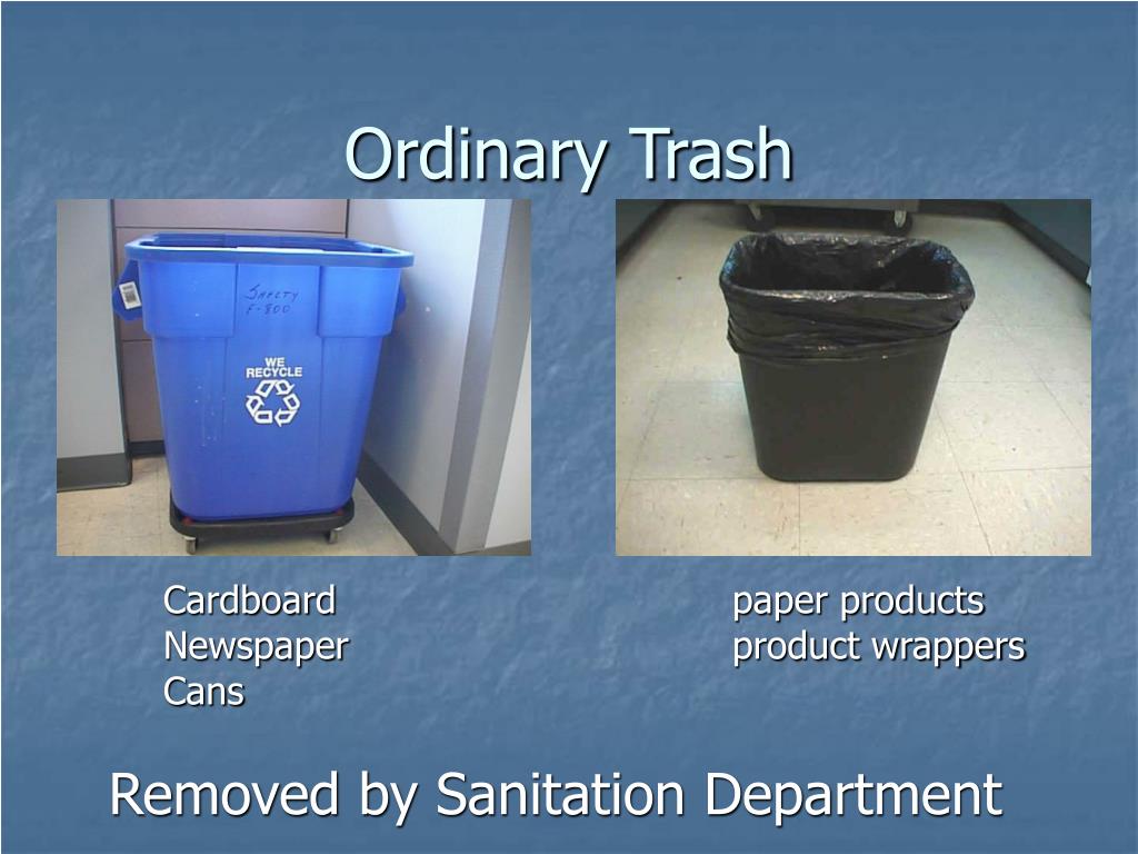 PPT - Albert Einstein College of Medicine Environmental Health and ...