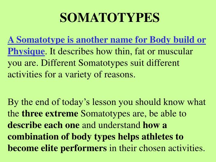 PPT - SOMATOTYPES PowerPoint Presentation, free download - ID:3264477