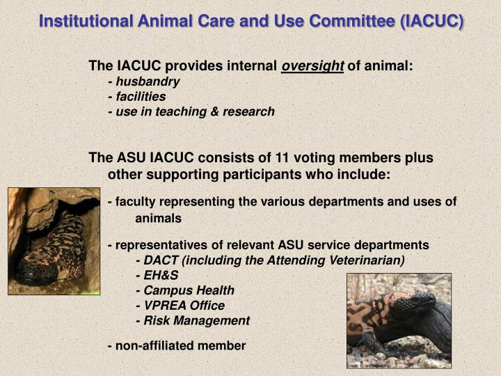 PPT - Institutional Animal Care and Use Committee (IACUC) PowerPoint Presentation - ID:3264785