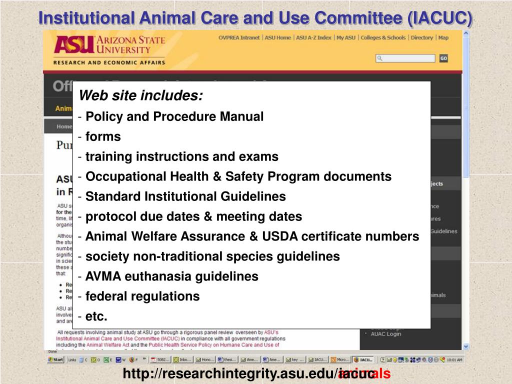 PPT - Institutional Animal Care and Use Committee (IACUC) PowerPoint ...