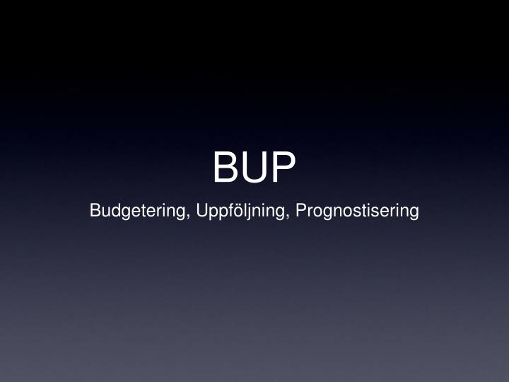 PPT - BUP PowerPoint Presentation, free download - ID:3265000