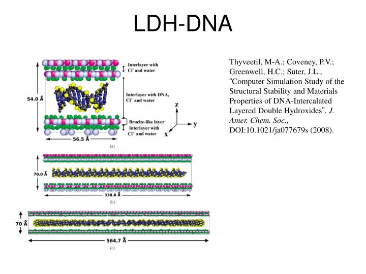 PPT - LDH-DNA PowerPoint Presentation, free download - ID:3265054
