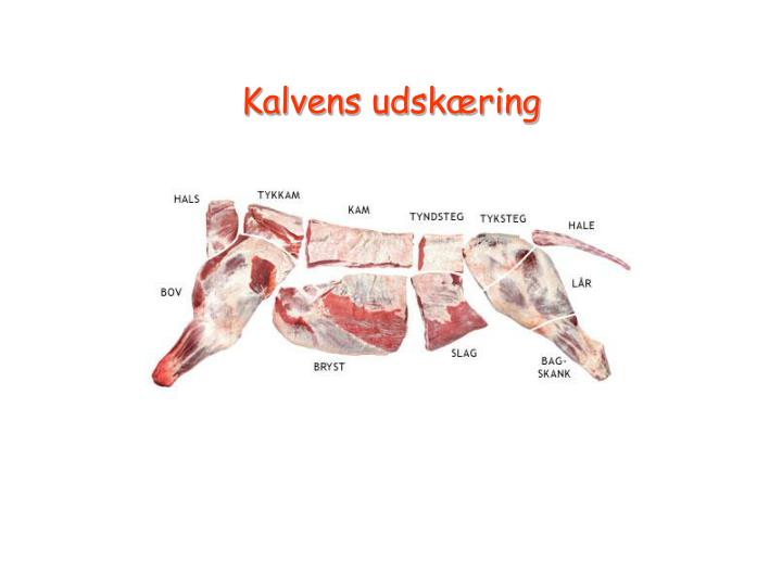 PPT - Slagtekød PowerPoint Presentation - ID:3266417