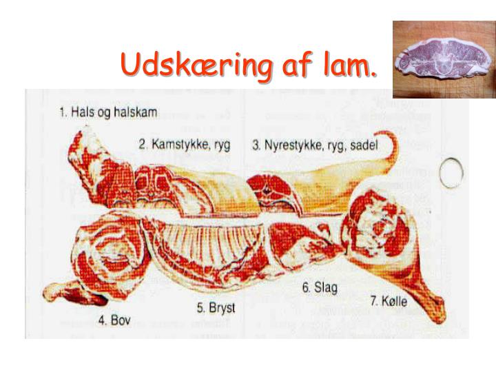 PPT - Slagtekød PowerPoint Presentation - ID:3266417
