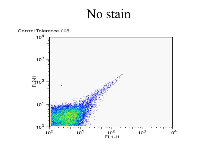 PPT - No stain PowerPoint Presentation, free download - ID:3266875
