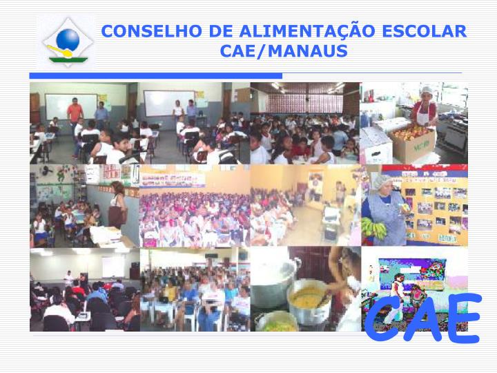 PPT - CAE PowerPoint Presentation, free download - ID:3267061