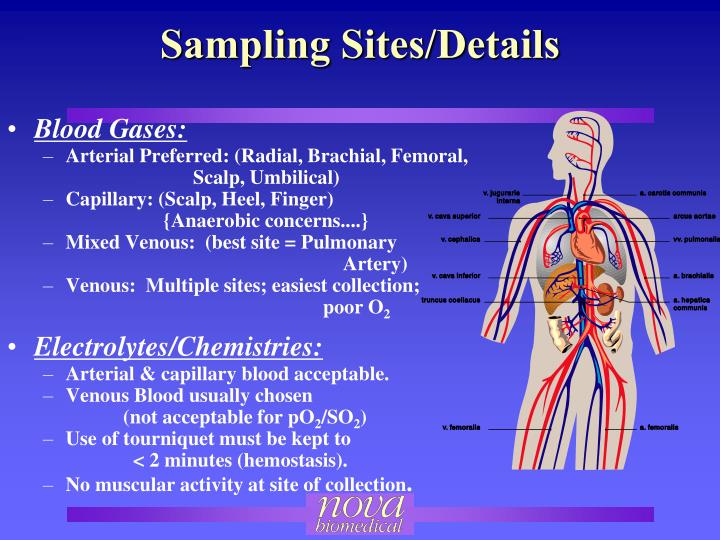 PPT - Blood Gas & POC Testing PowerPoint Presentation - ID:3267072