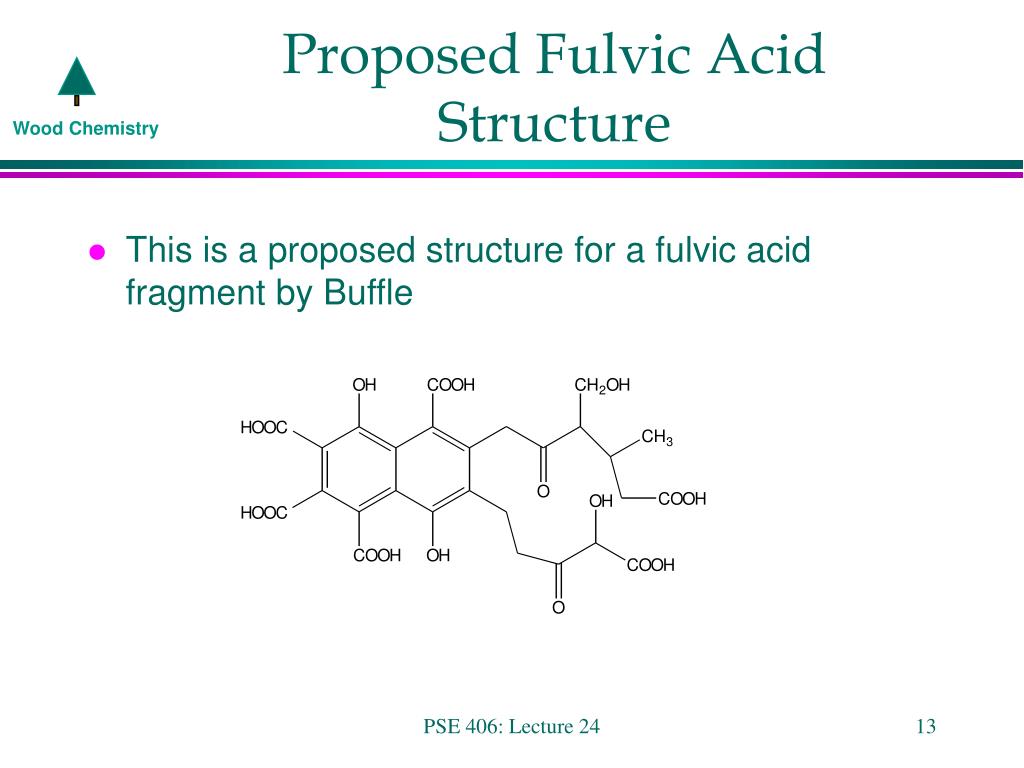 PPT - Wood Chemistry PSE 406/Chem E 470 PowerPoint Presentation, free ...