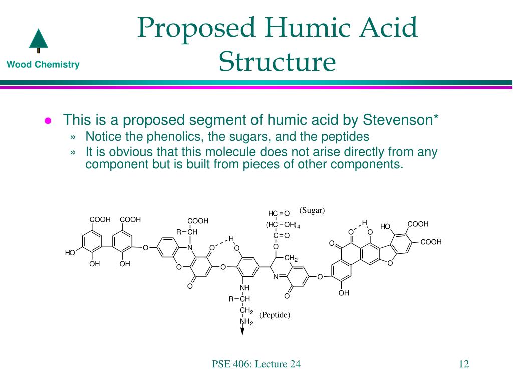 PPT - Wood Chemistry PSE 406/Chem E 470 PowerPoint Presentation, free ...