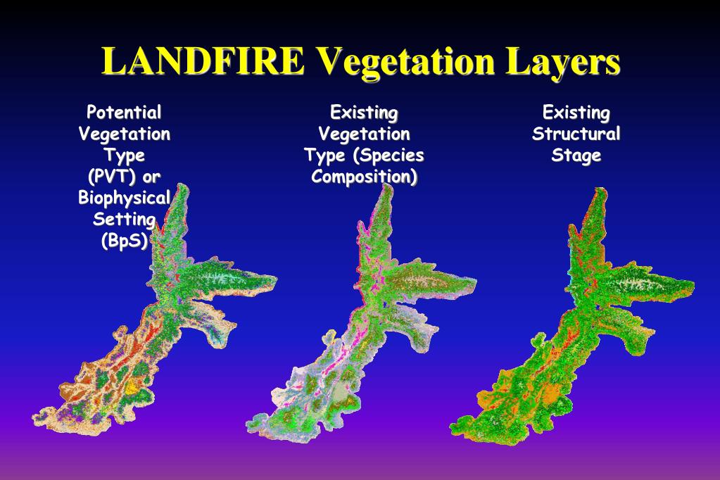 PPT - Map Units for LANDFIRE: Integrating Vegetation Classification and ... PPT - Map Units for LANDFIRE: Integrating Vegetation Classification and ...