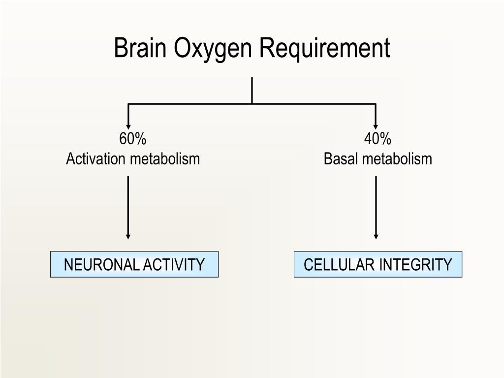PPT - Cerebral Blood Flow -Regulation -Measurement of CBF & CMR ...