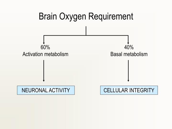 PPT - Cerebral Blood Flow -Regulation -Measurement of CBF & CMR ...