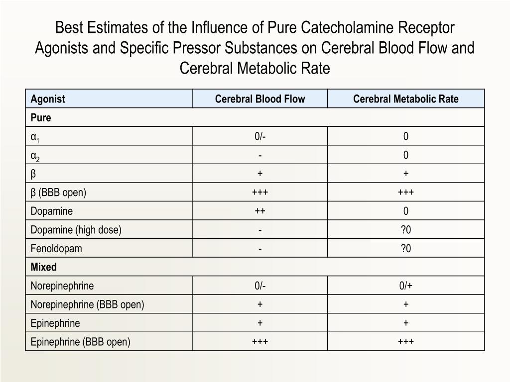 PPT - Cerebral Blood Flow -Regulation -Measurement of CBF & CMR ...