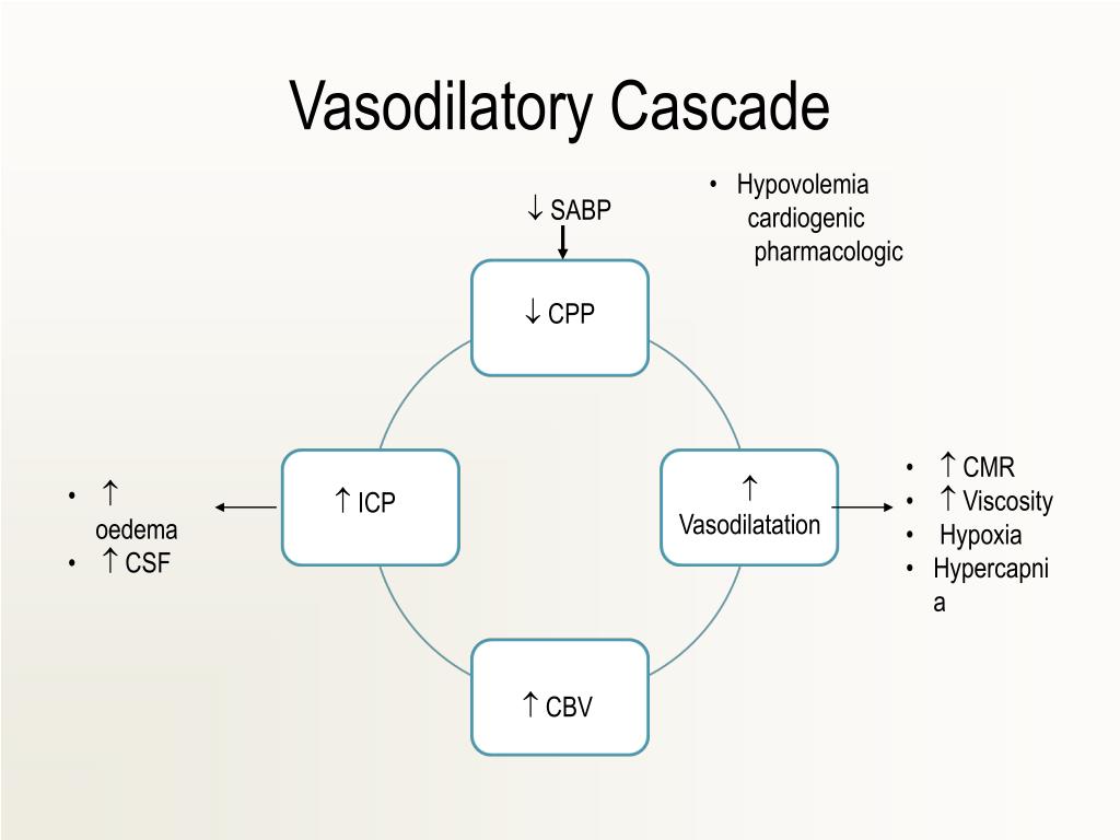 PPT - Cerebral Blood Flow -Regulation -Measurement of CBF & CMR ...