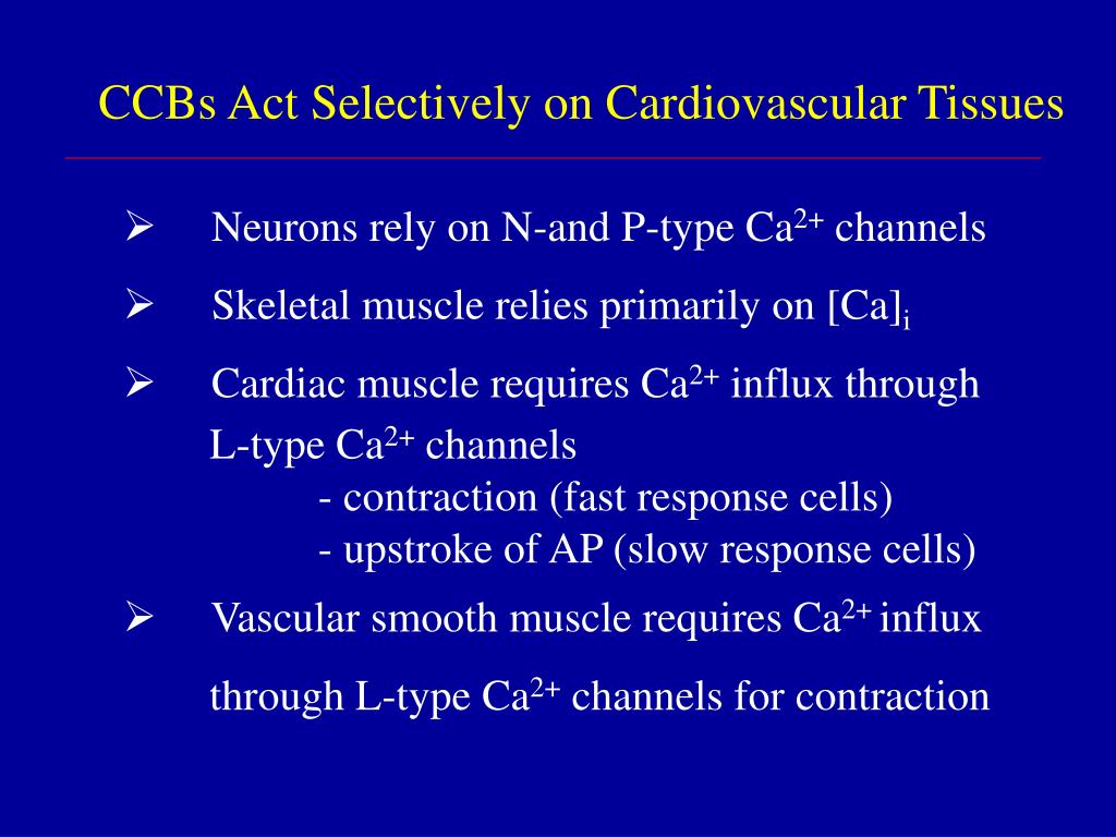 PPT - Calcium Channel Blocking Drugs PowerPoint Presentation, free ...