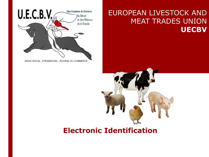 PPT - Electronic Identification PowerPoint Presentation, free download ...