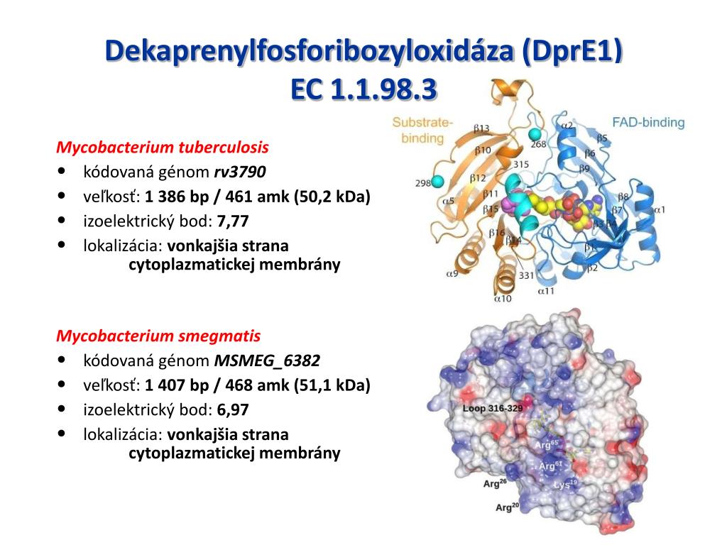 PPT - Inhibítory mykobakteriálnej epimerázy DprE1/DprE2 PowerPoint ...
