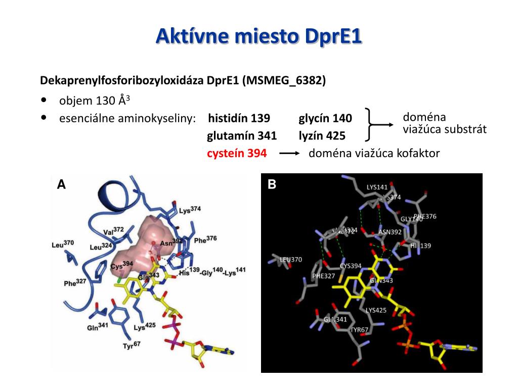 PPT - Inhibítory mykobakteriálnej epimerázy DprE1/DprE2 PowerPoint ...