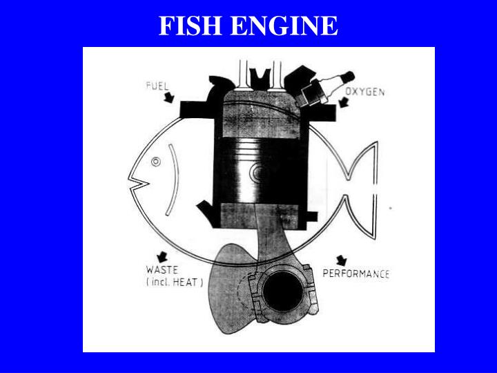 PPT - FISH ENGINE PowerPoint Presentation, free download - ID:3268656