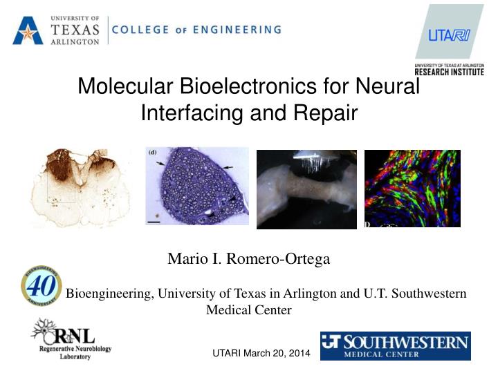 PPT - Molecular Bioelectronics for Neural Interfacing and Repair Mario ...