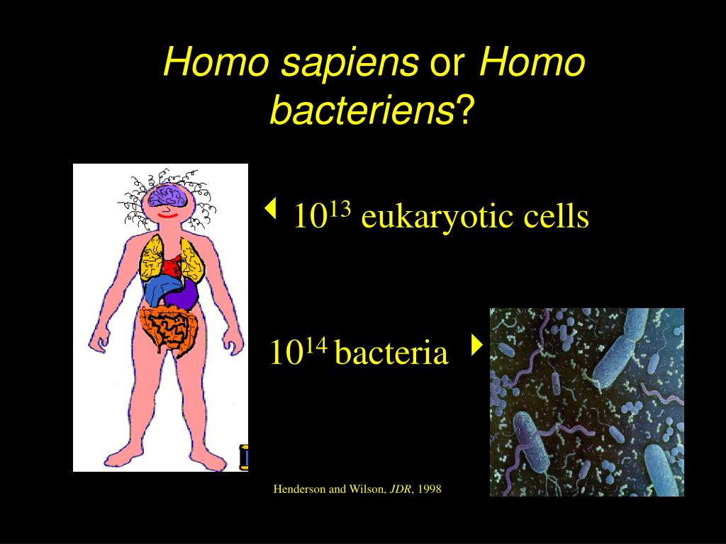 PPT - Innate Immunity of the oral cavity PowerPoint Presentation, free ...