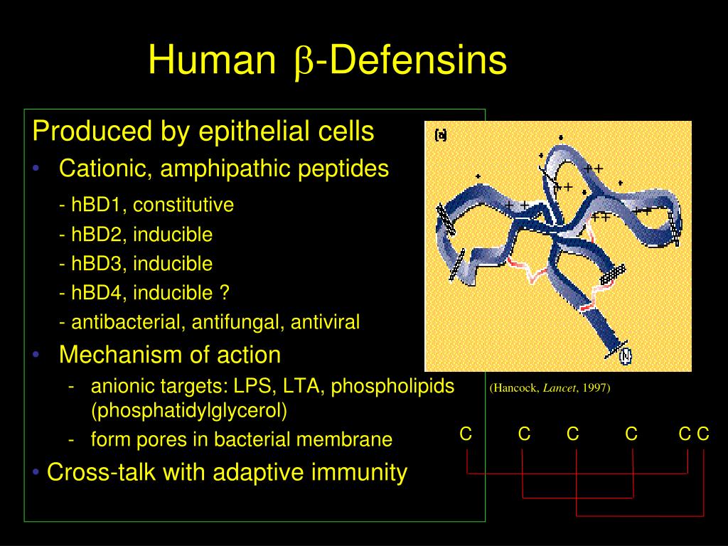 PPT - Innate Immunity of the oral cavity PowerPoint Presentation, free ...