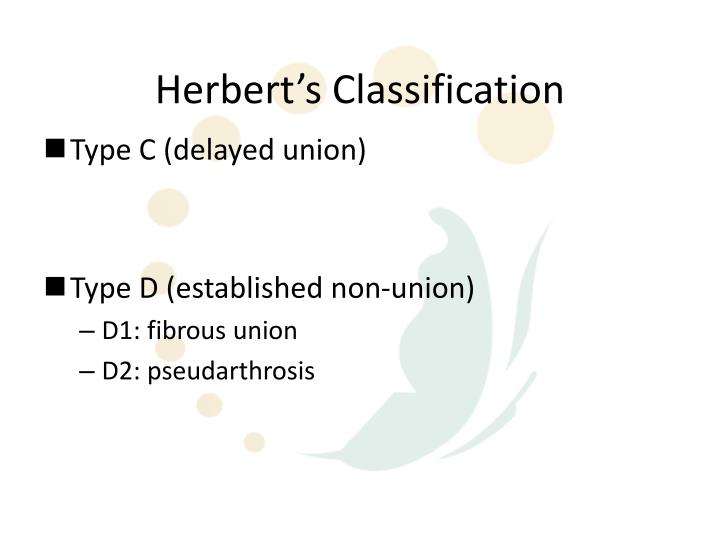 PPT - Scaphoid Fractures PowerPoint Presentation - ID:3269059
