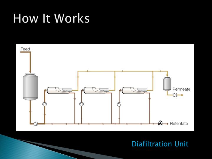 PPT - Diafiltration : DF-101 PowerPoint Presentation - ID:3269296