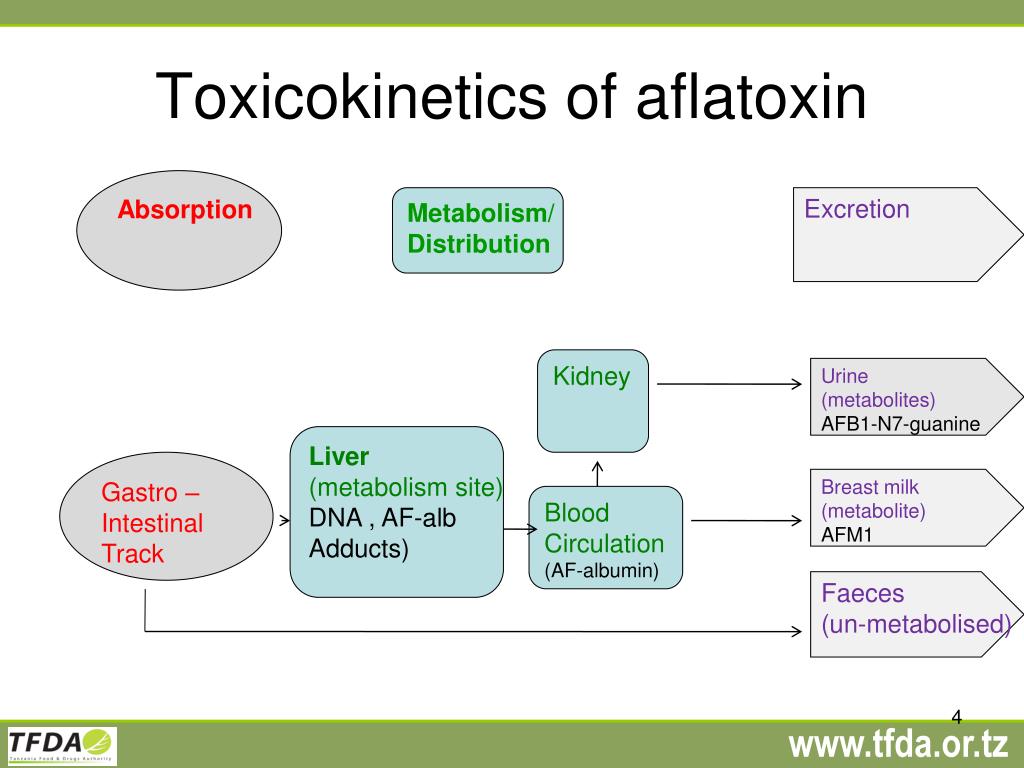 Ppt Aflatoxin Exposure Health Impacts Risk Assessment And Database