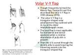 PPT - Flaps in the Hand PowerPoint Presentation - ID:3271054