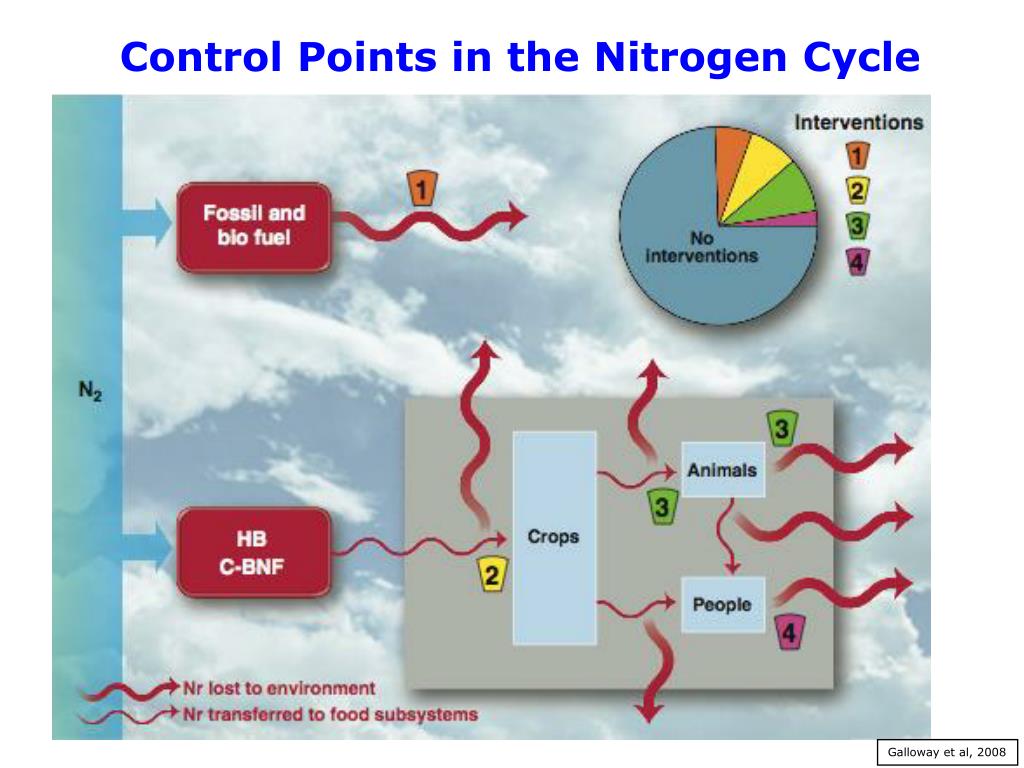 PPT - Nitrogen: A Story of Food, Fuel and Fiber PowerPoint Presentation ...