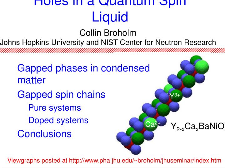 PPT - Holes in a Quantum Spin Liquid PowerPoint Presentation, free ...