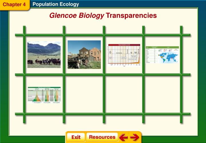 PPT - Chapter 4 Population Ecology PowerPoint Presentation - ID:3271337
