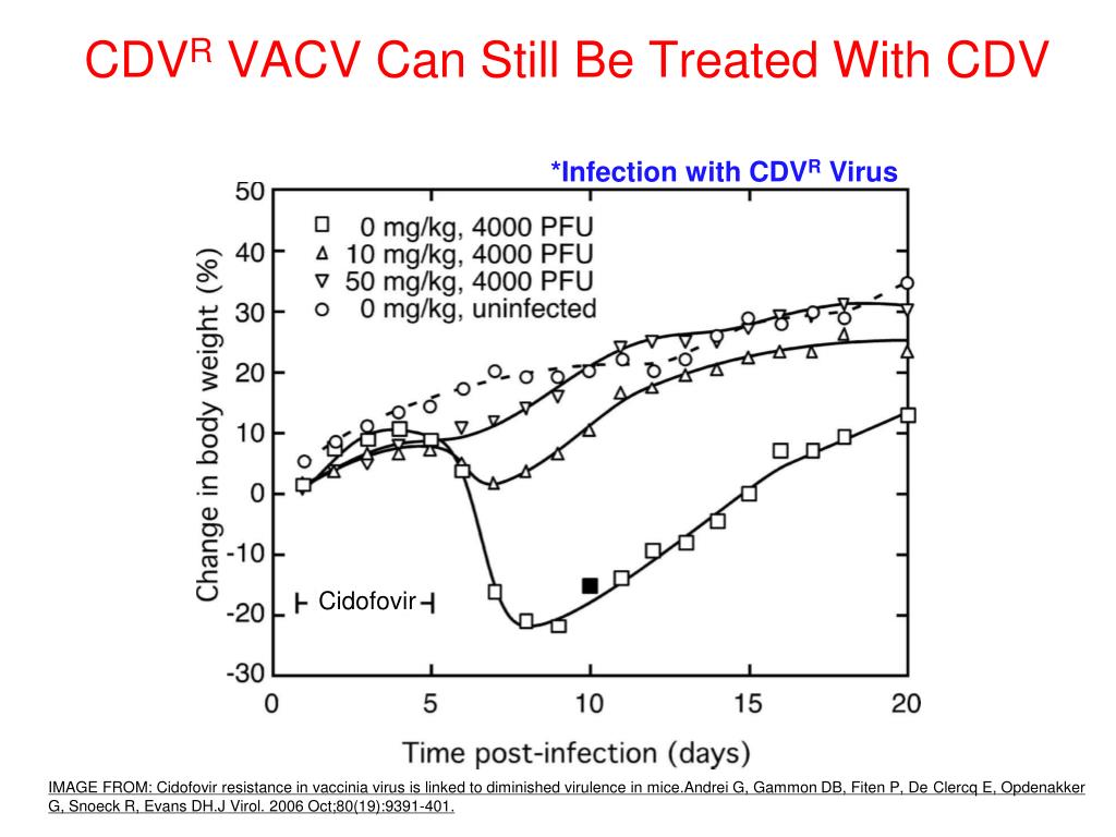 PPT - Poxviruses: Their Impact on Human Health, History, and Research ...