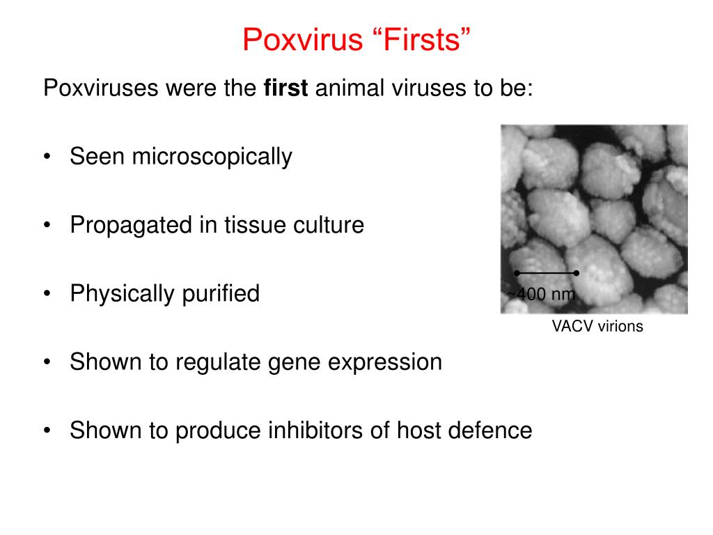 PPT - Poxviruses: Their Impact on Human Health, History, and Research ...