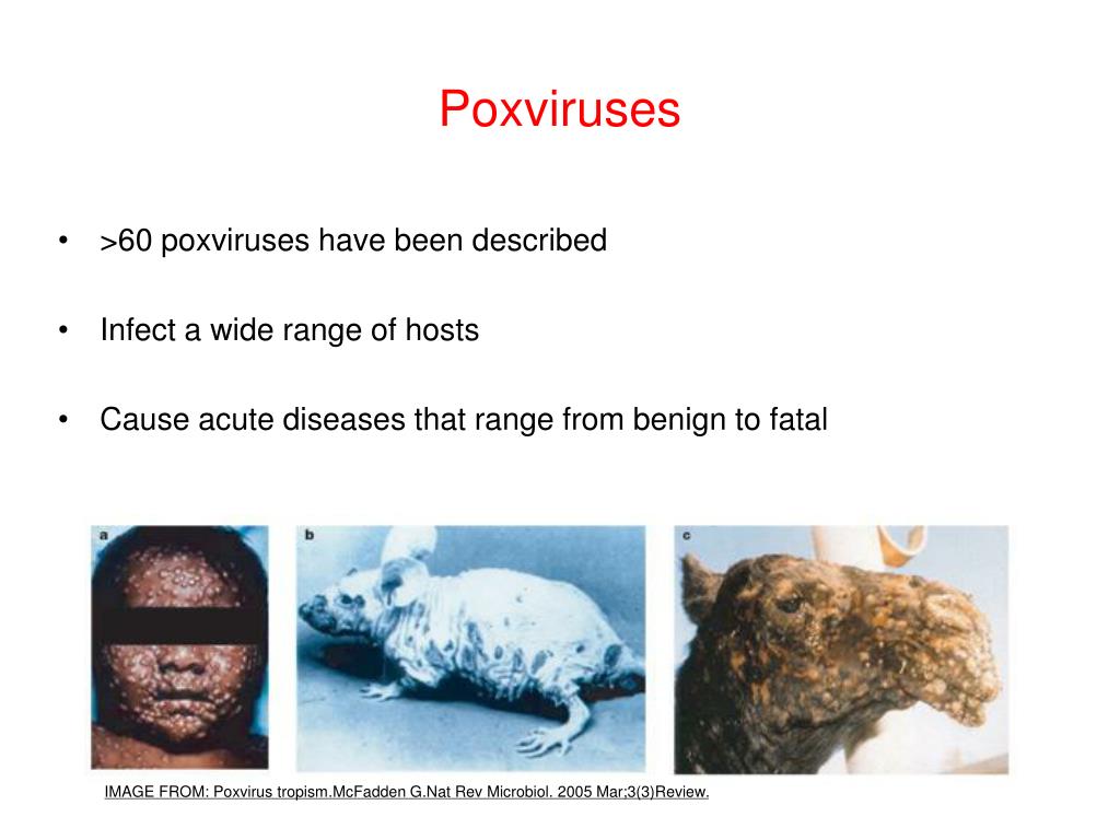 PPT - Poxviruses: Their Impact on Human Health, History, and Research ...