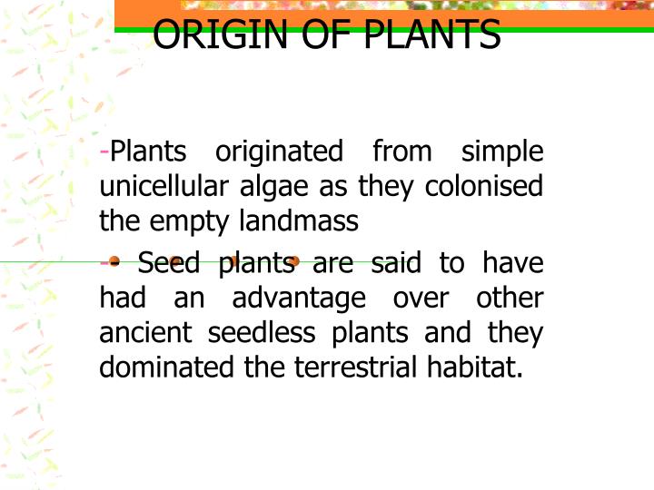 PPT - ORIGIN OF PLANTS PowerPoint Presentation, free download - ID:3272292