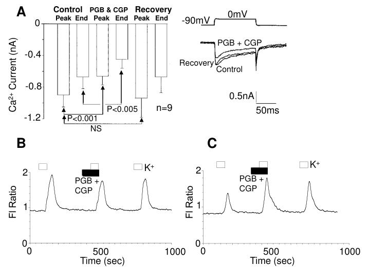 PPT - -90mV PowerPoint Presentation, free download - ID:3272792