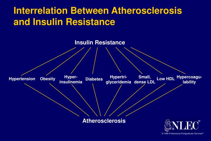 PPT - Hypertriglyceridemia, Insulin Resistance Syndrome, and CHD Risk ...