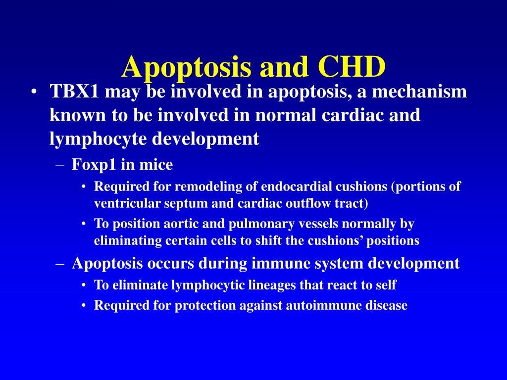 PPT - Genetics of Congenital Heart Disease PowerPoint Presentation ...
