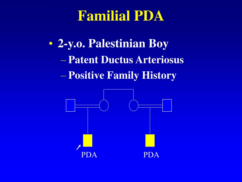 PPT - Genetics of Congenital Heart Disease PowerPoint Presentation ...