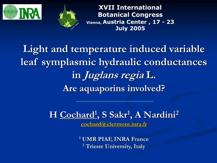 PPT - Understanding water pathways in leaves… PowerPoint Presentation ...