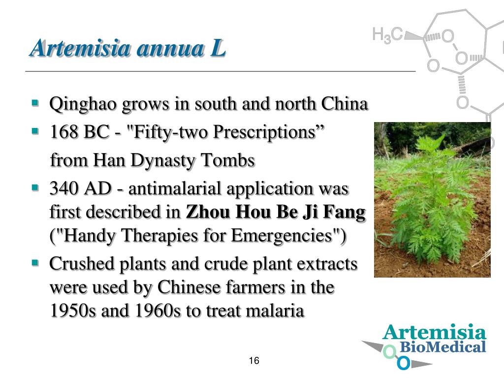 PPT - Artemisia BioMedical , Inc The Discovery of Artemisinin PowerPoint Presentation - ID:3274736