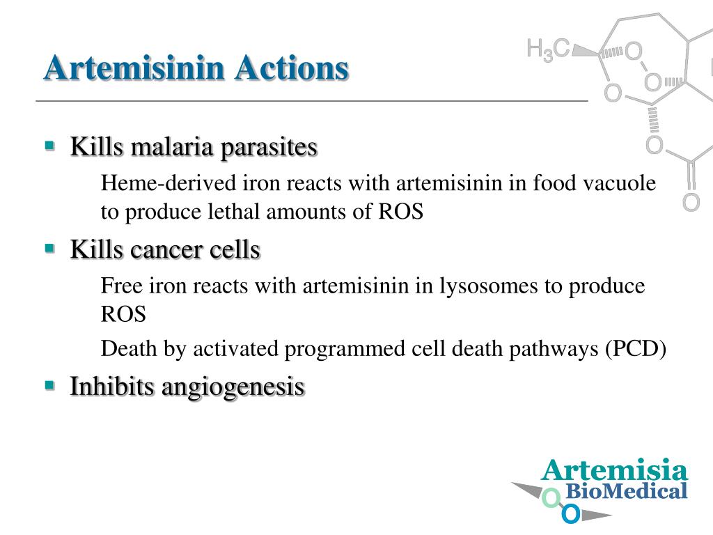 PPT - Artemisia BioMedical , Inc The Discovery of Artemisinin PowerPoint Presentation - ID:3274736