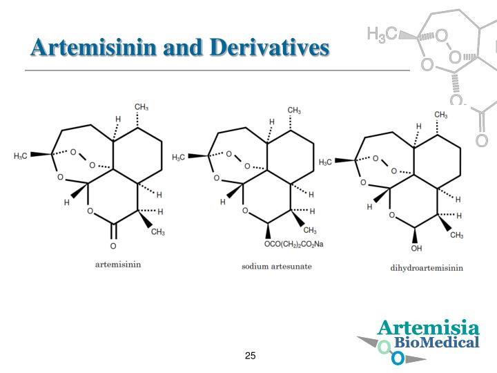 PPT - Artemisia BioMedical , Inc The Discovery of Artemisinin PowerPoint Presentation - ID:3274736
